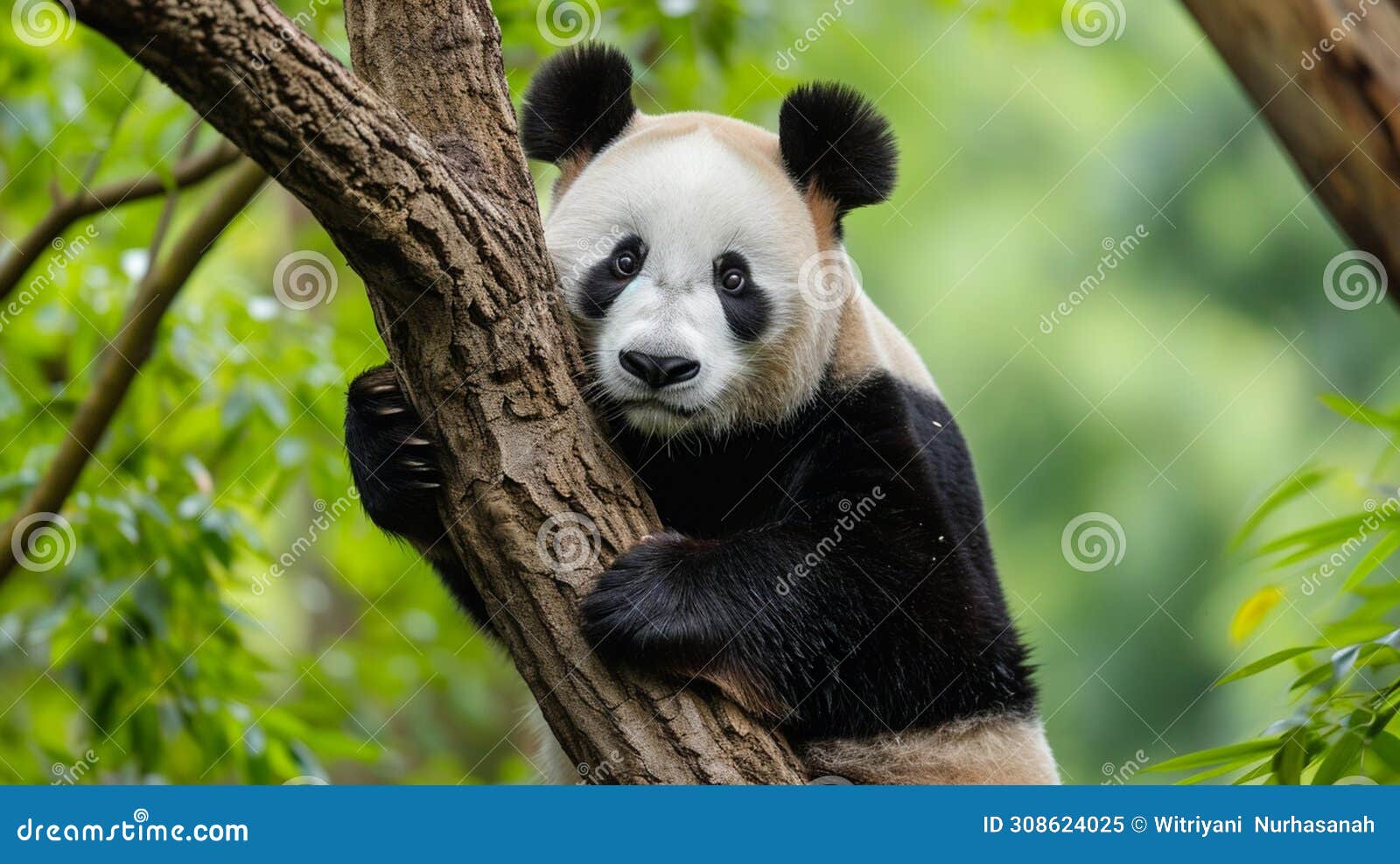 Giant Panda Bear Climbing in Tree . Generative Ai Stock Image - Image ...