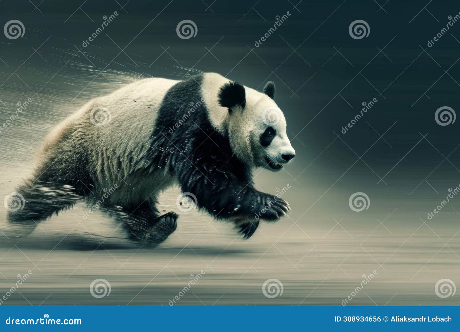 The Giant Panda is Running Fast. 3d Illustration Stock Illustration ...