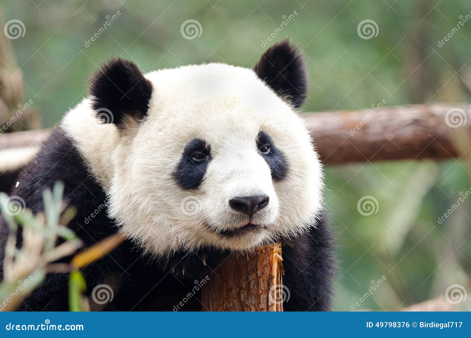 8,124 Tired Pose Stock Photos - Free & Royalty-Free Stock Photos from ...