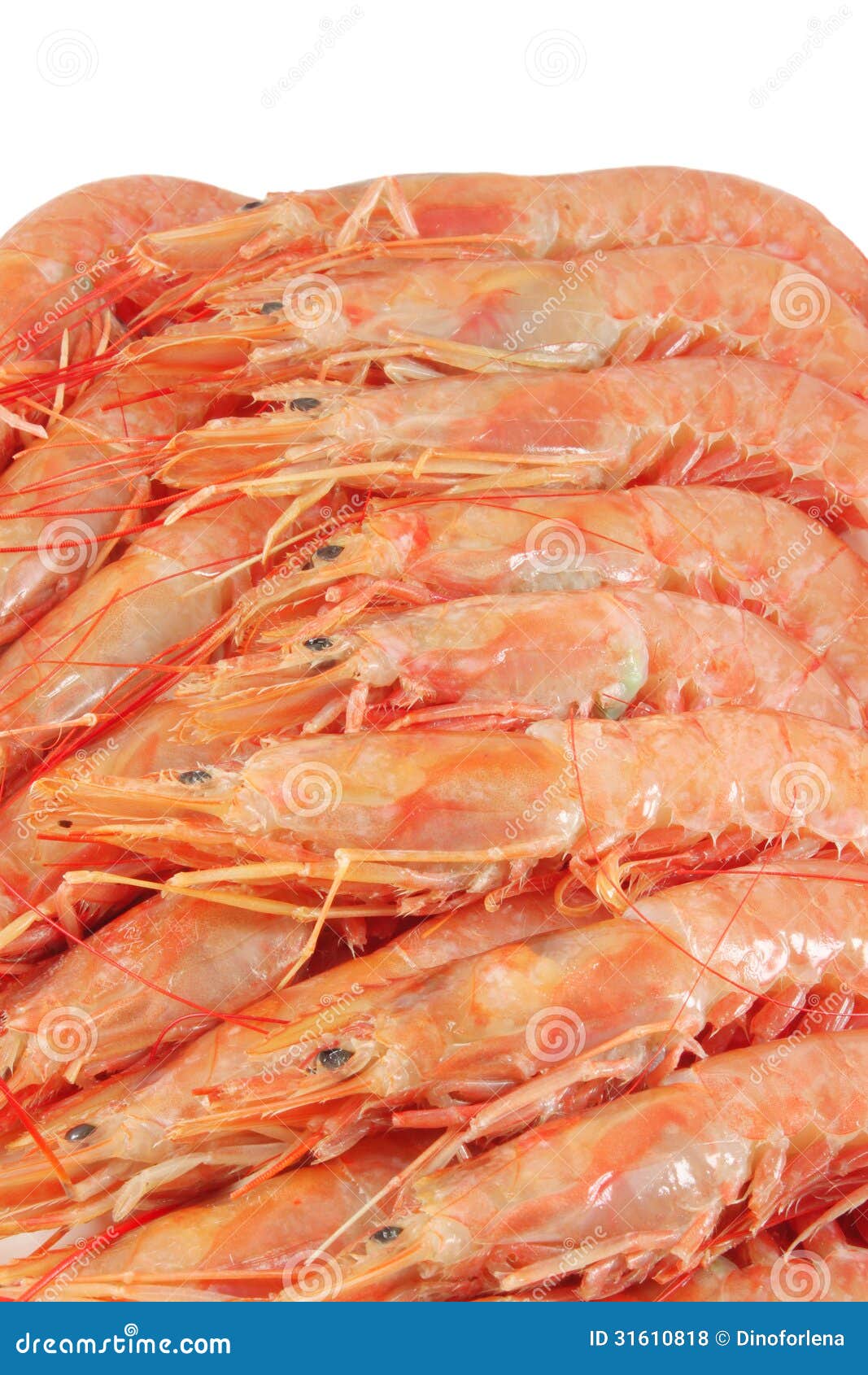 Giant prawns stock photo. Image of delicious, meat, healthy - 31610818