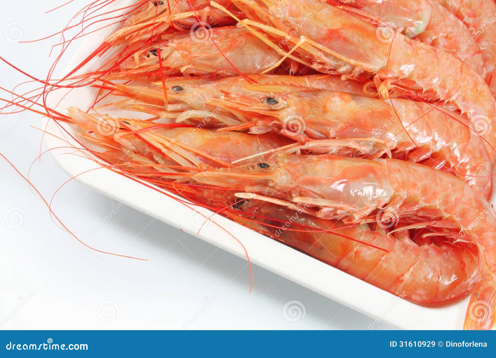 Giant prawns stock image. Image of ocean, fresh, closeup - 31610929