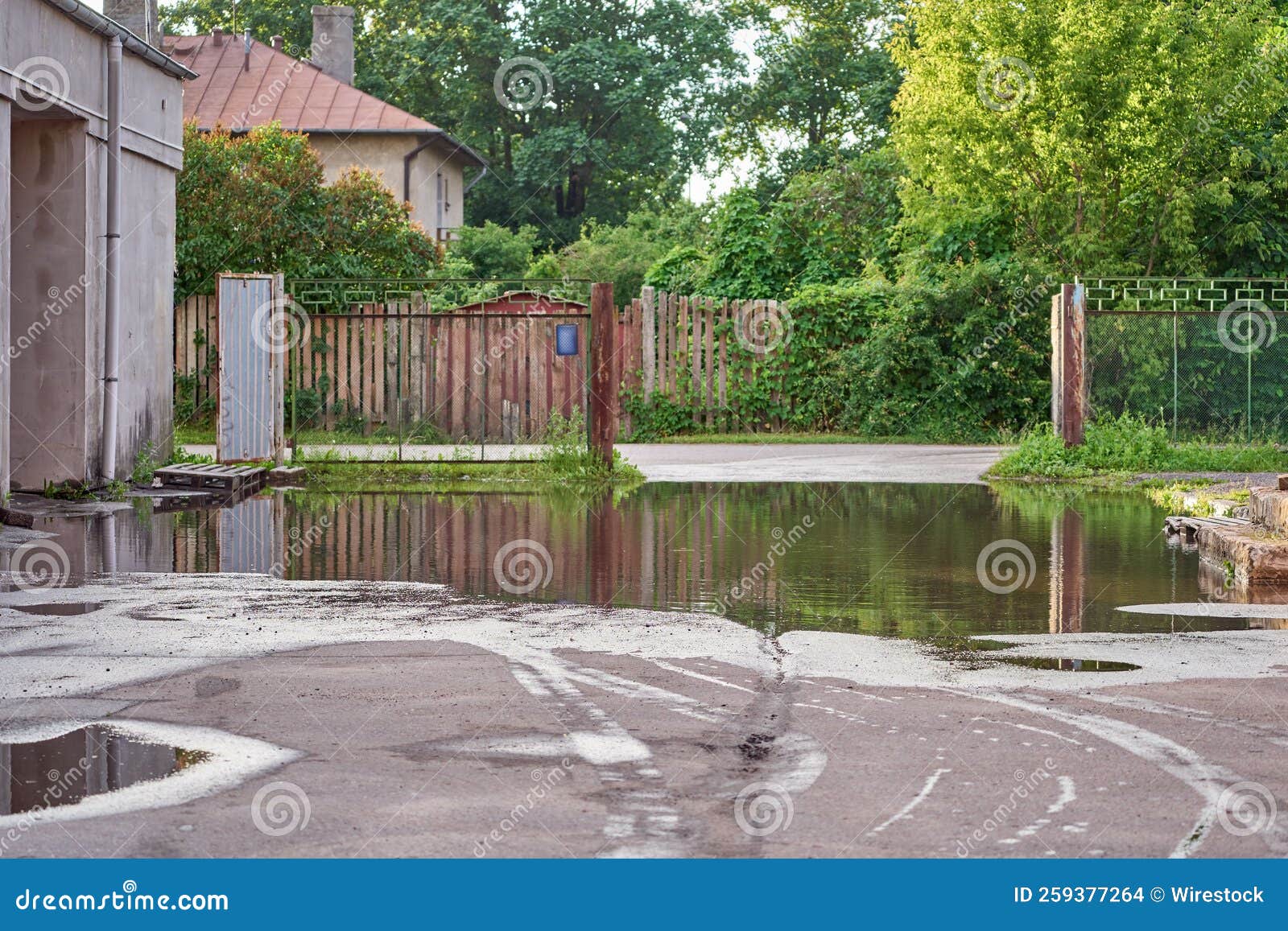 Giant puddle in the yard stock photo. Image of outdoors - 259377264