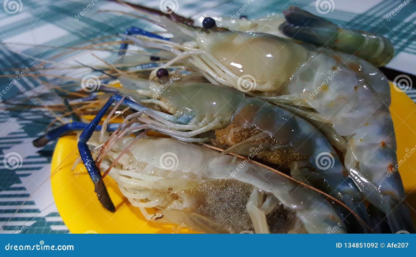 Giant River Prawn, Giant Freshwater Prawn with Shrimp Eggs Stock Photo ...