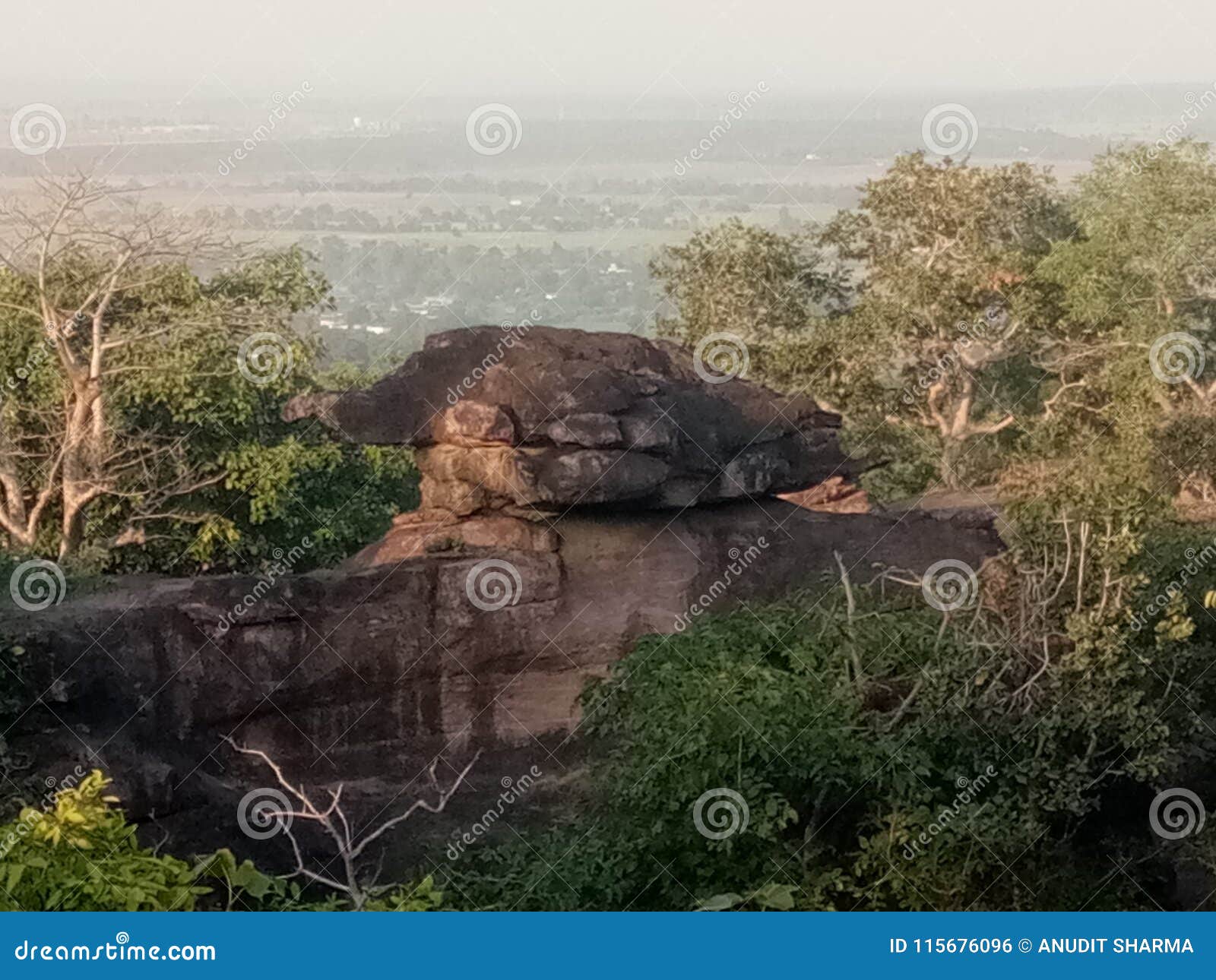 A giant rock tortoise stock photo. Image of rocks, tortoise - 115676096