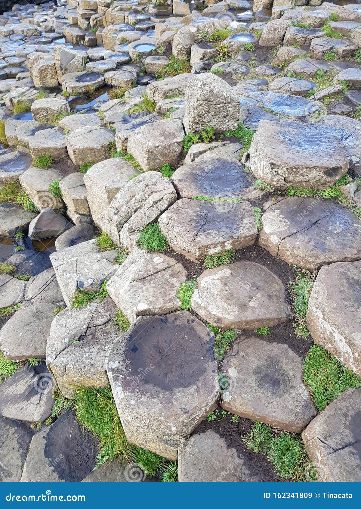 Giant S Causeway Stone Formation Stock Image - Image of rock, wall ...