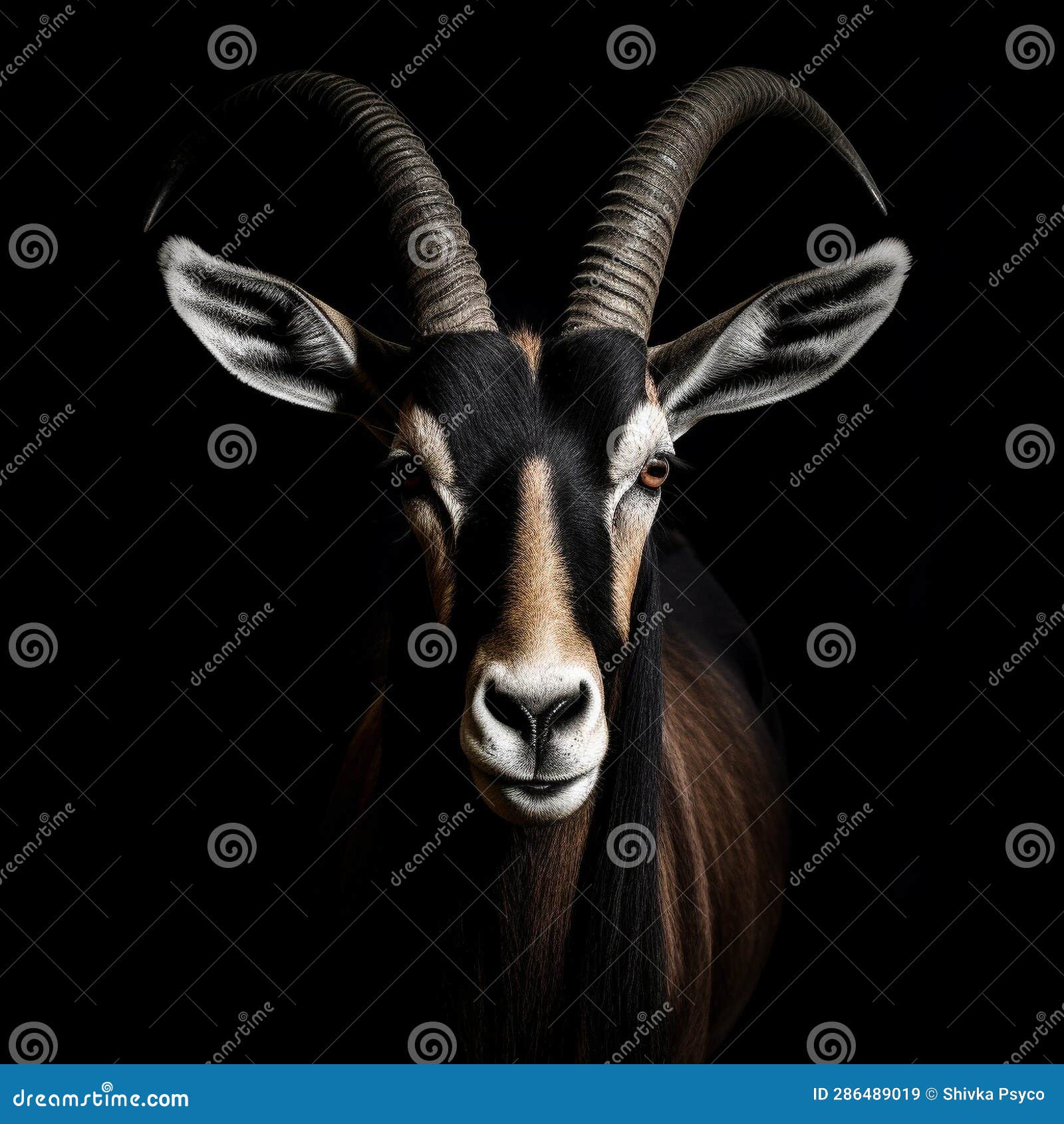 A Giant Sable on Dark Background Generative AI Stock Illustration ...
