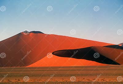 Giant sand dunes stock photo. Image of snag, ripples, tree - 4192932