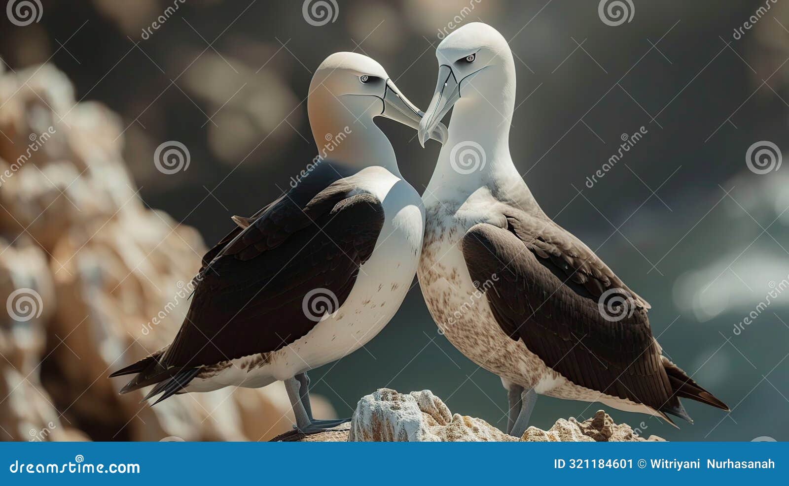 These Giant Sea Birds Oftentimes Form Dedicated Couples. Generative Ai ...