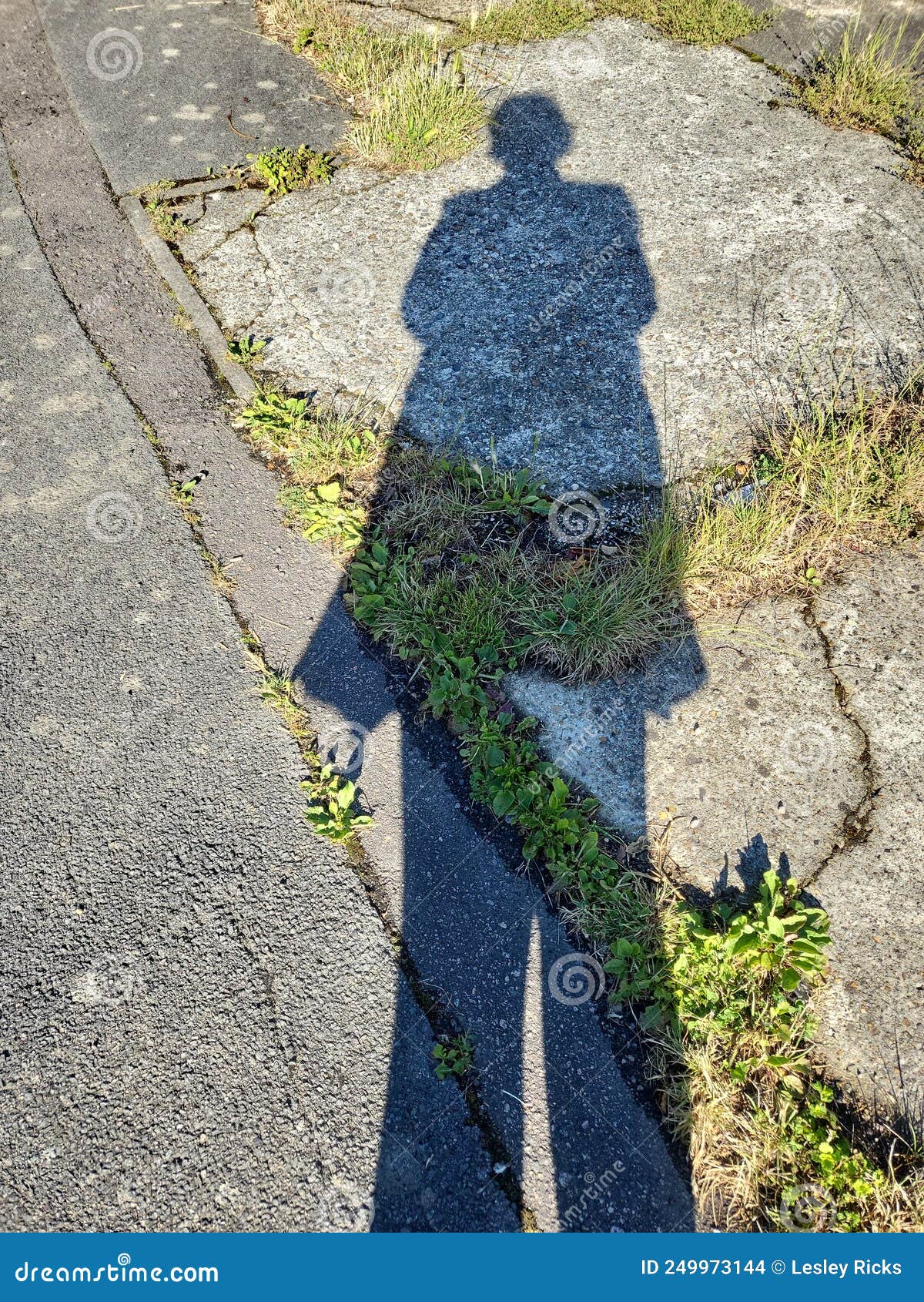 The Giant Shadow Man stock photo. Image of tall, weeds - 249973144