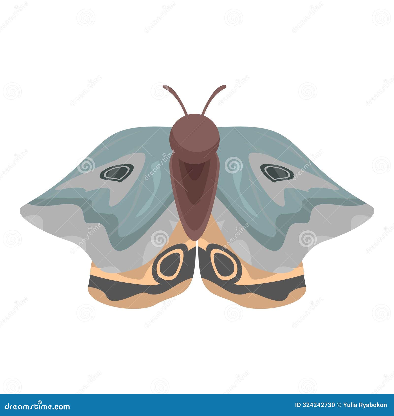 Silk Moth Metamorphosis And Life Stages. Silkworm Black And White ...