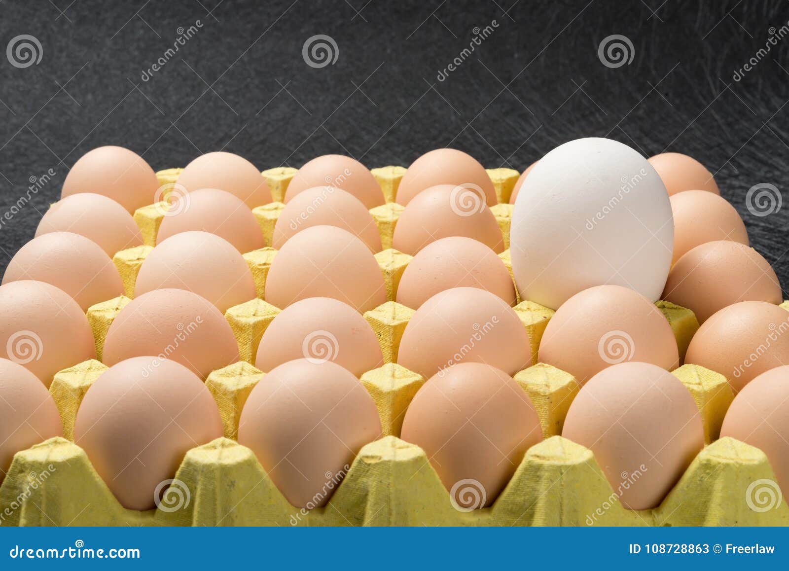Giant Size Goose Egg between Small Chicken Eggs Stock Image - Image of ...