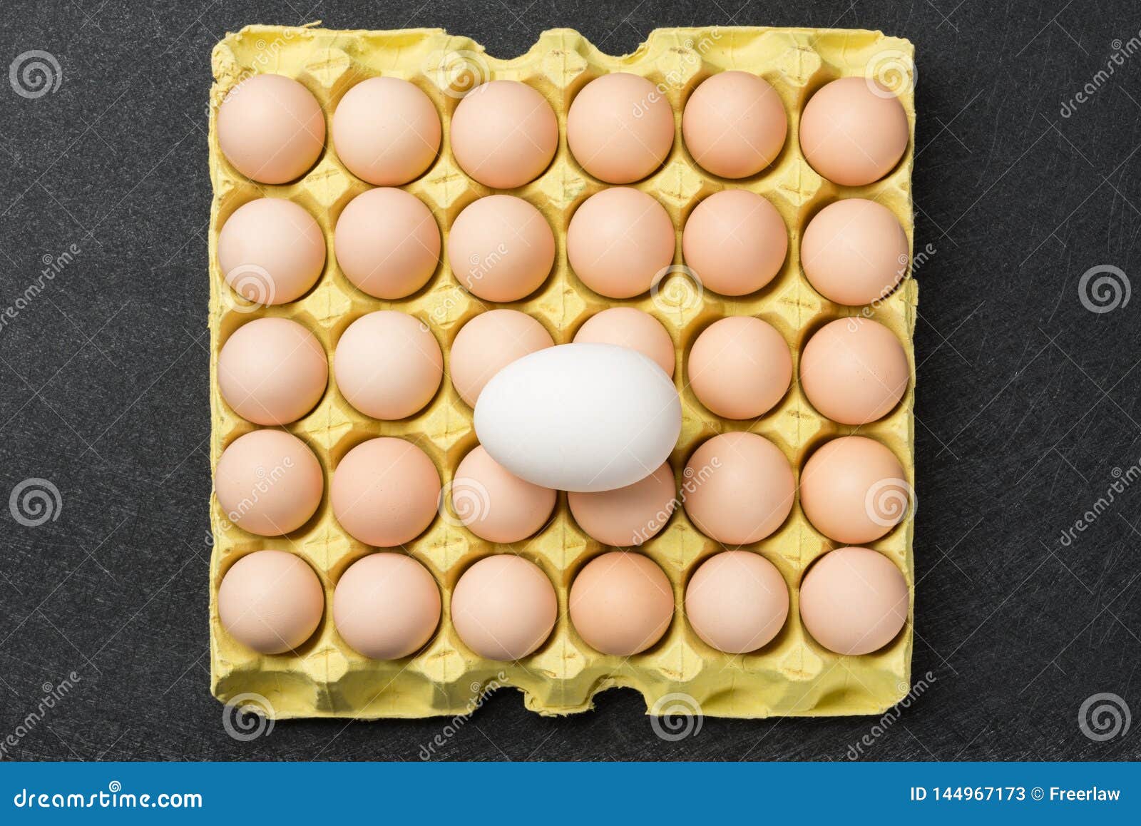 Giant Size Goose Egg on Top of Small Chicken Eggs Stock Image - Image ...