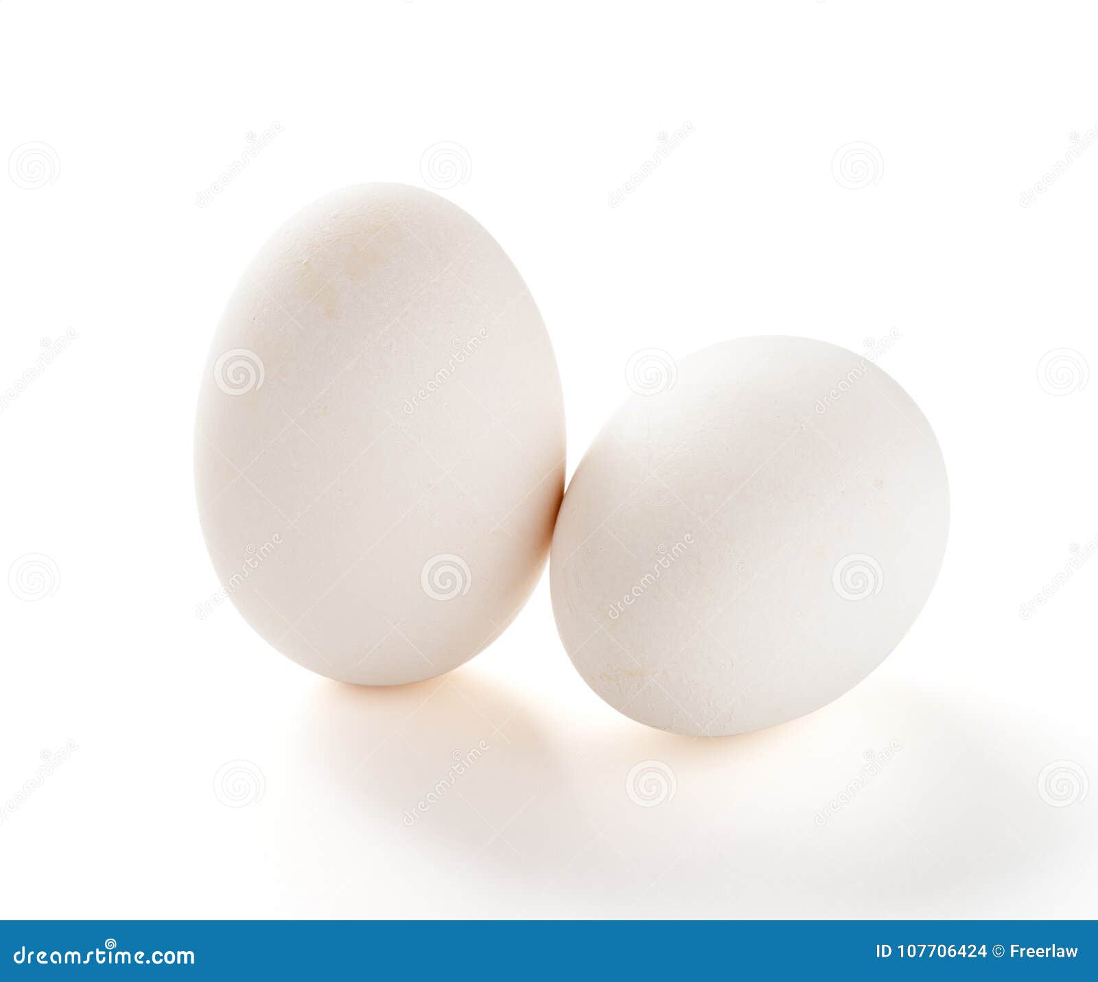 Giant Size Goose Eggs with Clipping Path Stock Photo - Image of ...