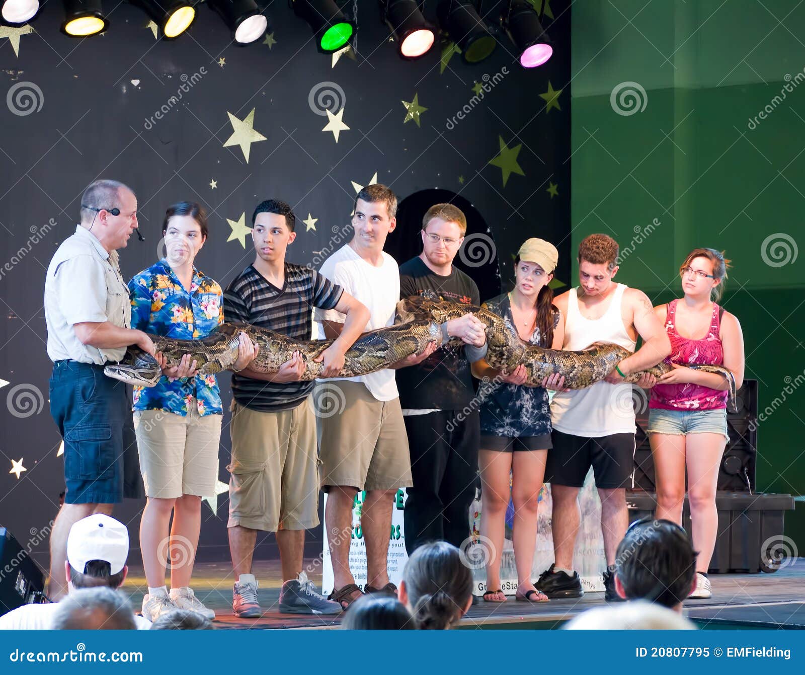 Giant Snake on Stage at Animal Show Editorial Image - Image of hold ...
