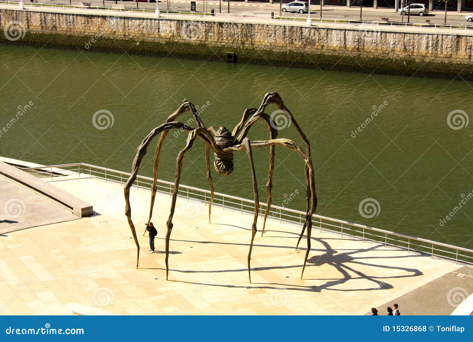 Giant Spider Royalty-Free Stock Photography | CartoonDealer.com #13639247
