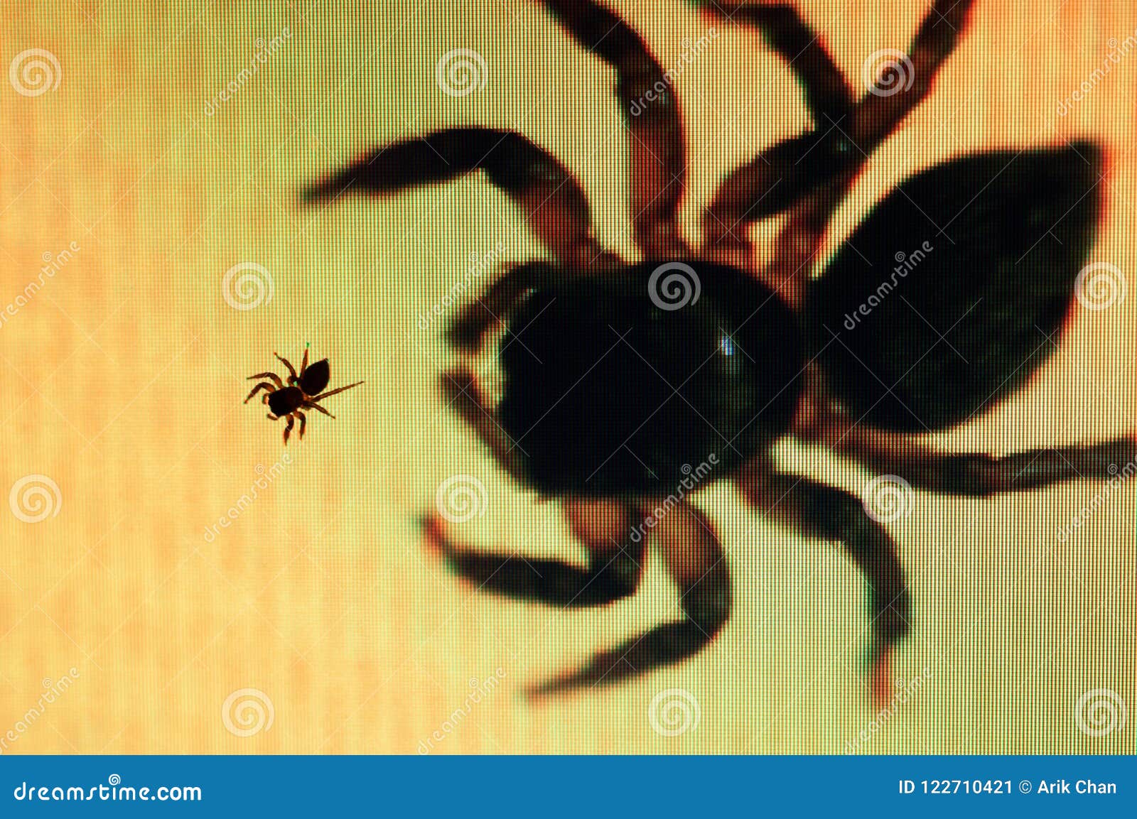 Giant Spider on a Computer Screen Stock Image - Image of screen ...