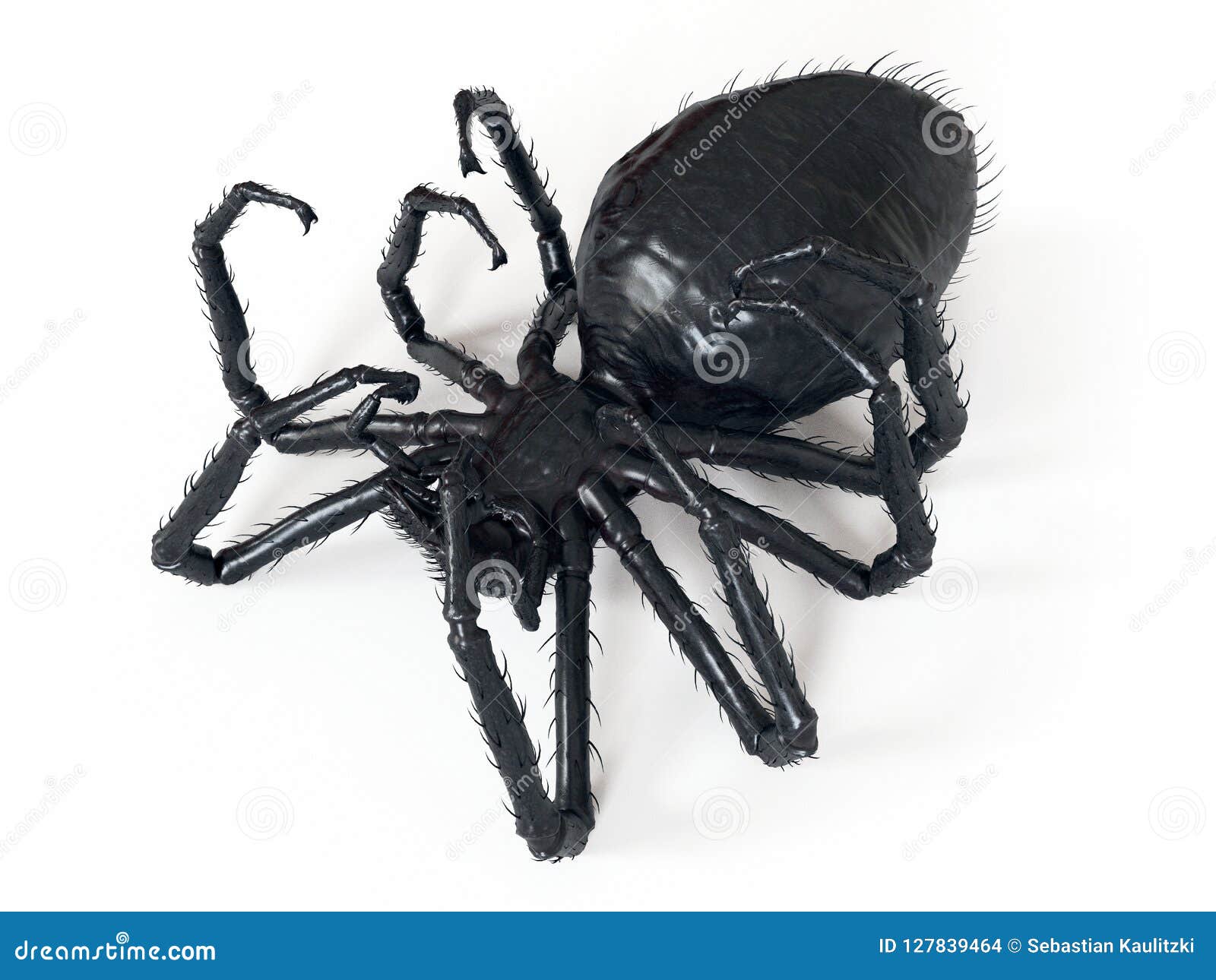 A Giant Spider Royalty-Free Cartoon | CartoonDealer.com #127839464