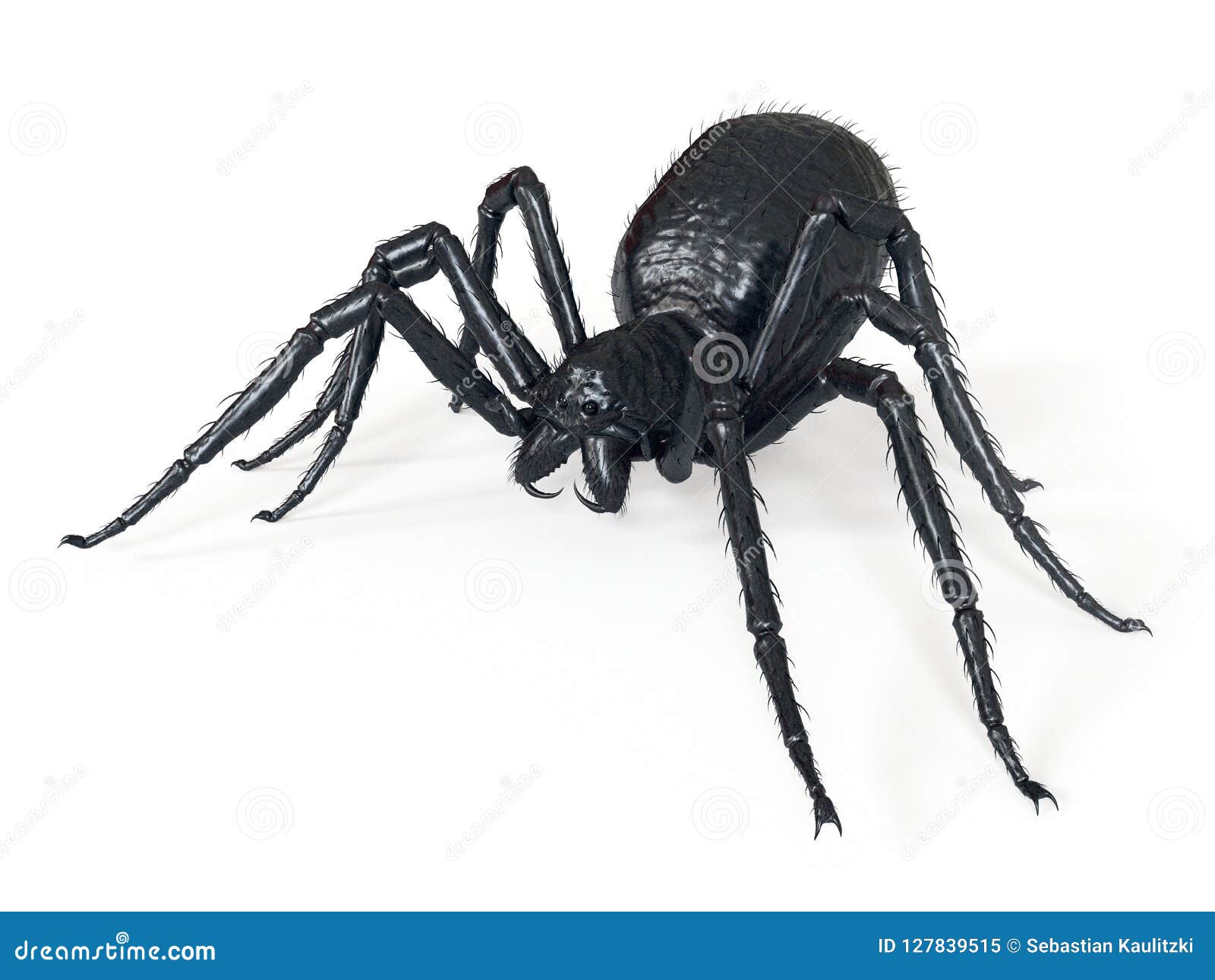 A Giant Spider Royalty-Free Cartoon | CartoonDealer.com #127839515