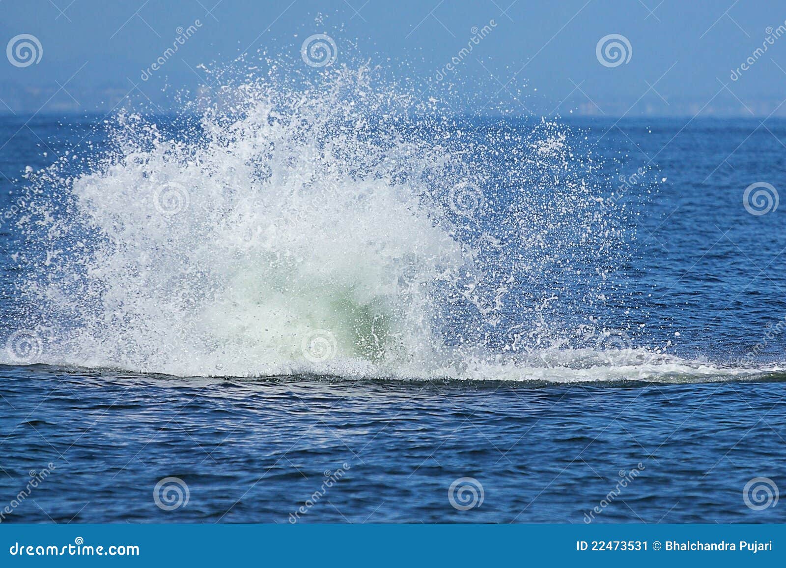 1,566 Orca Splash Stock Photos - Free & Royalty-Free Stock Photos from ...