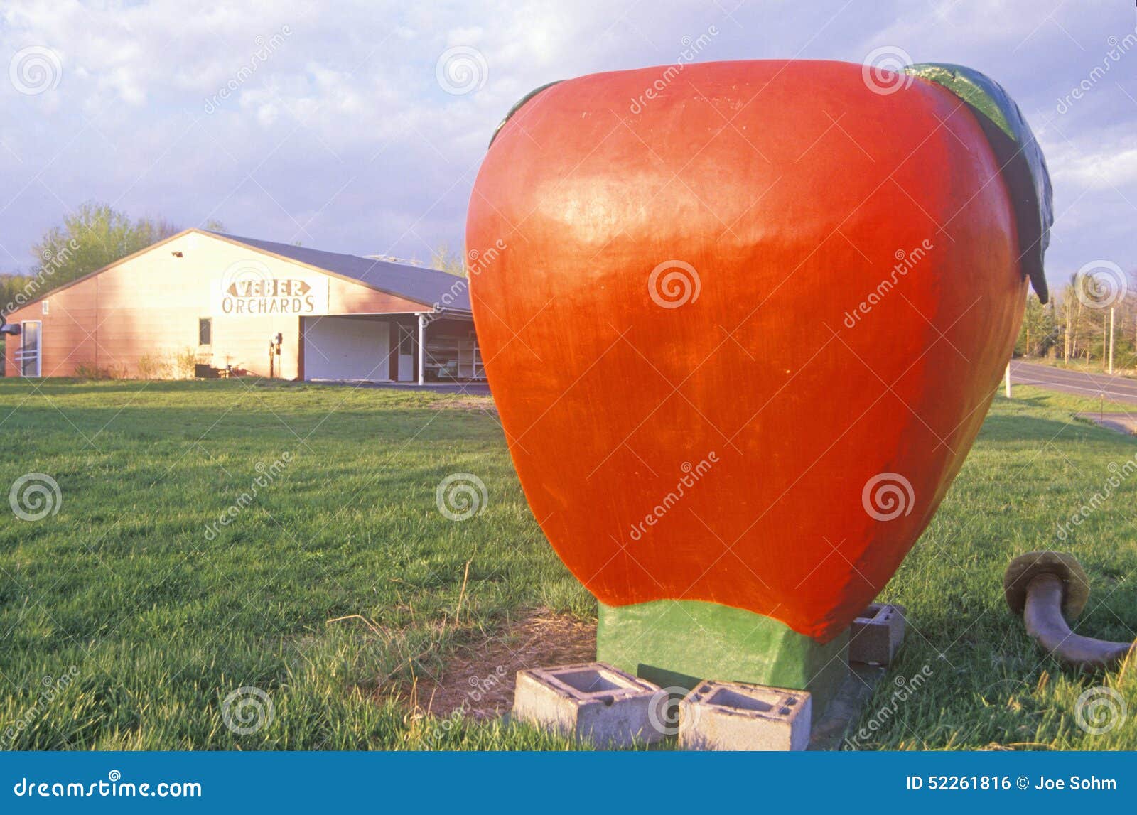 Giant Statue of a Ripe, Red Tomato in Field, WI Editorial Photo - Image ...