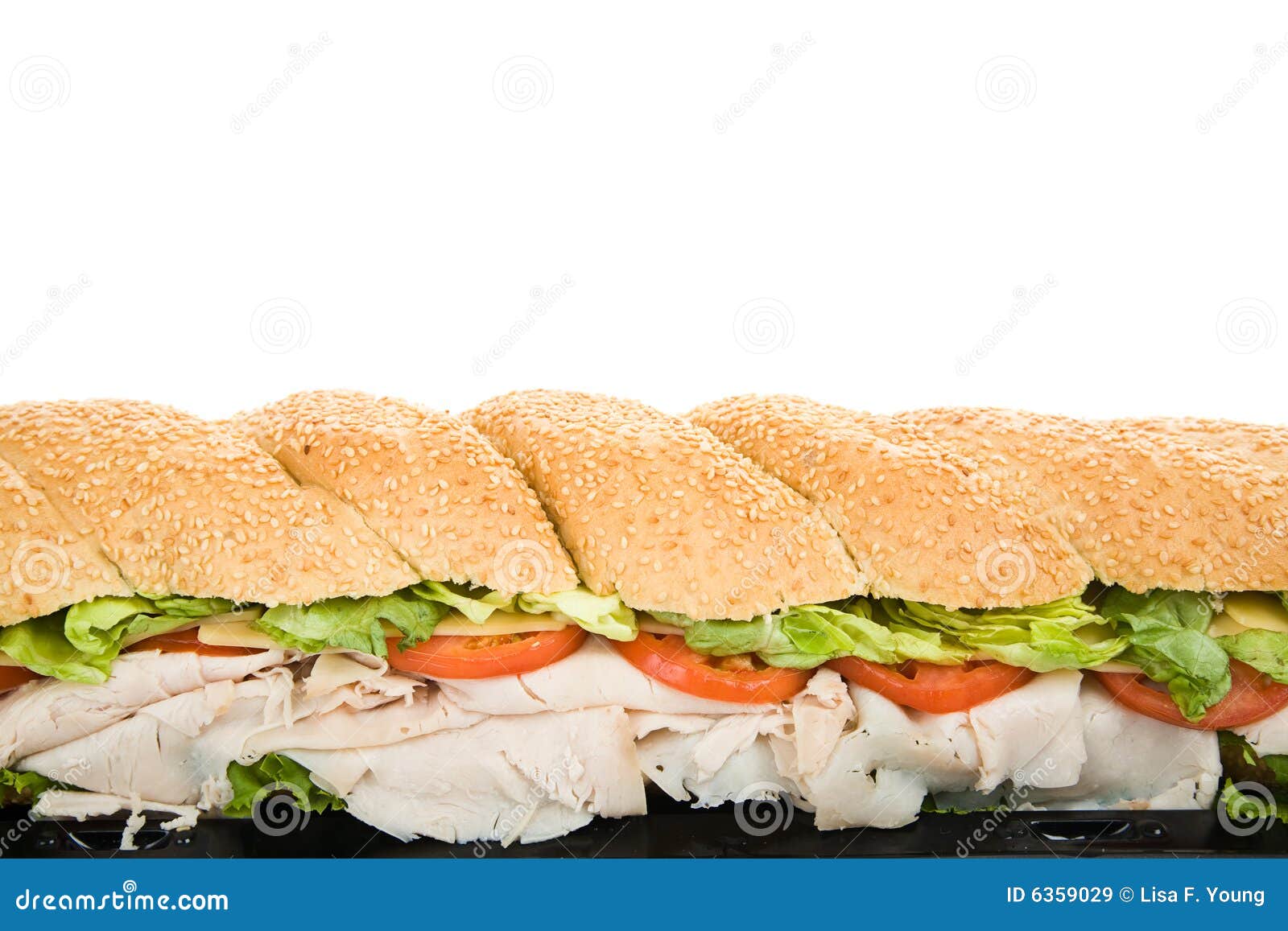Giant Sub Sandwich