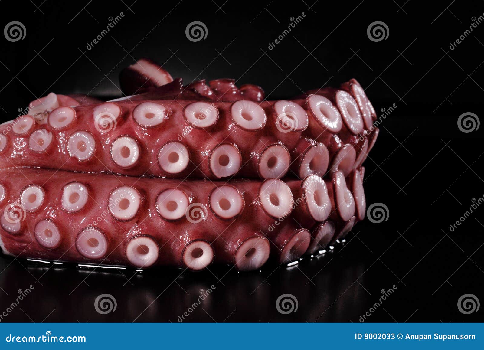 Giant tako stock image. Image of enormus, tyre, food, octopus - 8002033
