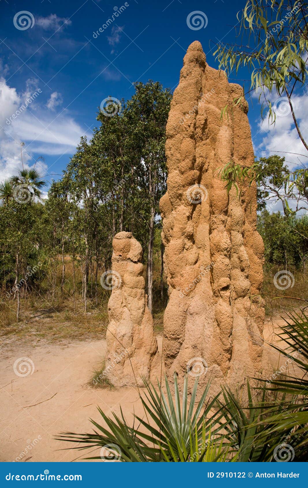 Giant termite mound stock photo. Image of outback, australia - 2910122