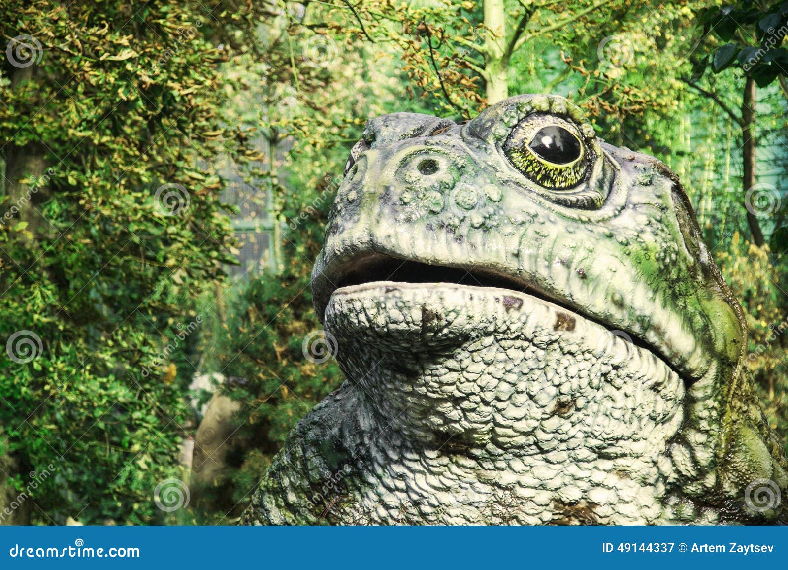 Giant Toad Stock Photo | CartoonDealer.com #178274526