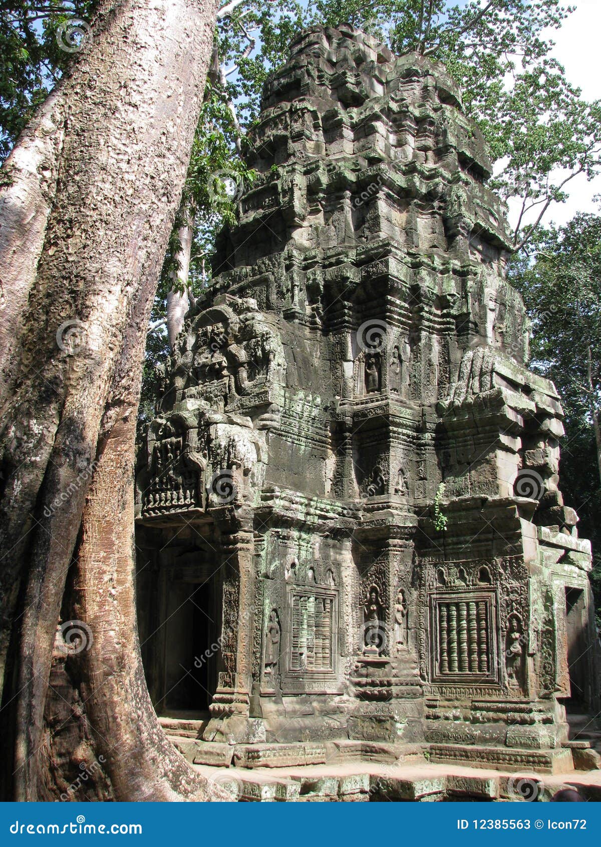 Giant Trees Covering the Old Temples of Angkor Wat Stock Image - Image ...