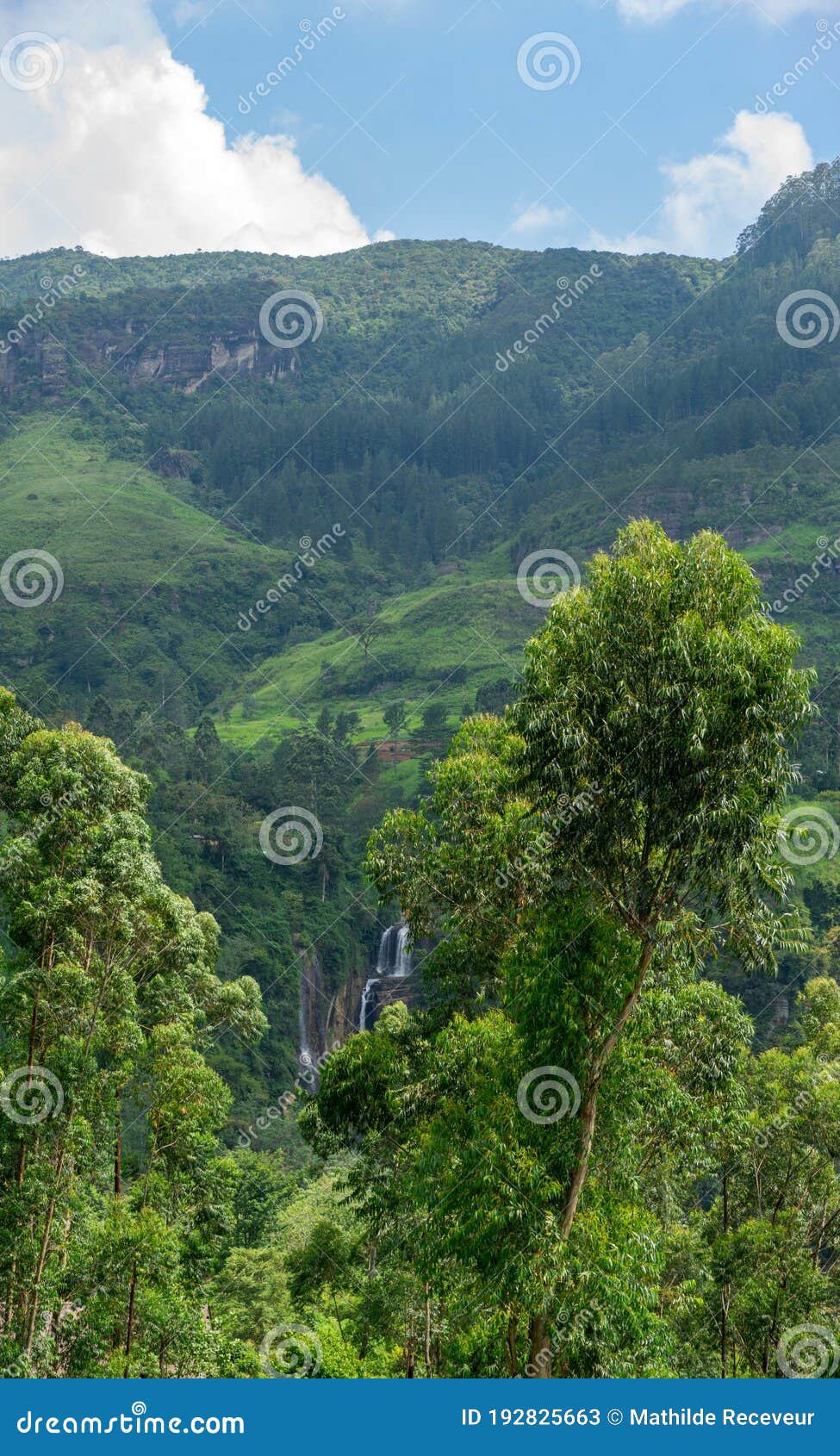 Huge Tropical Waterfall in the Mountains, Sri Lanka. District of Kandy ...