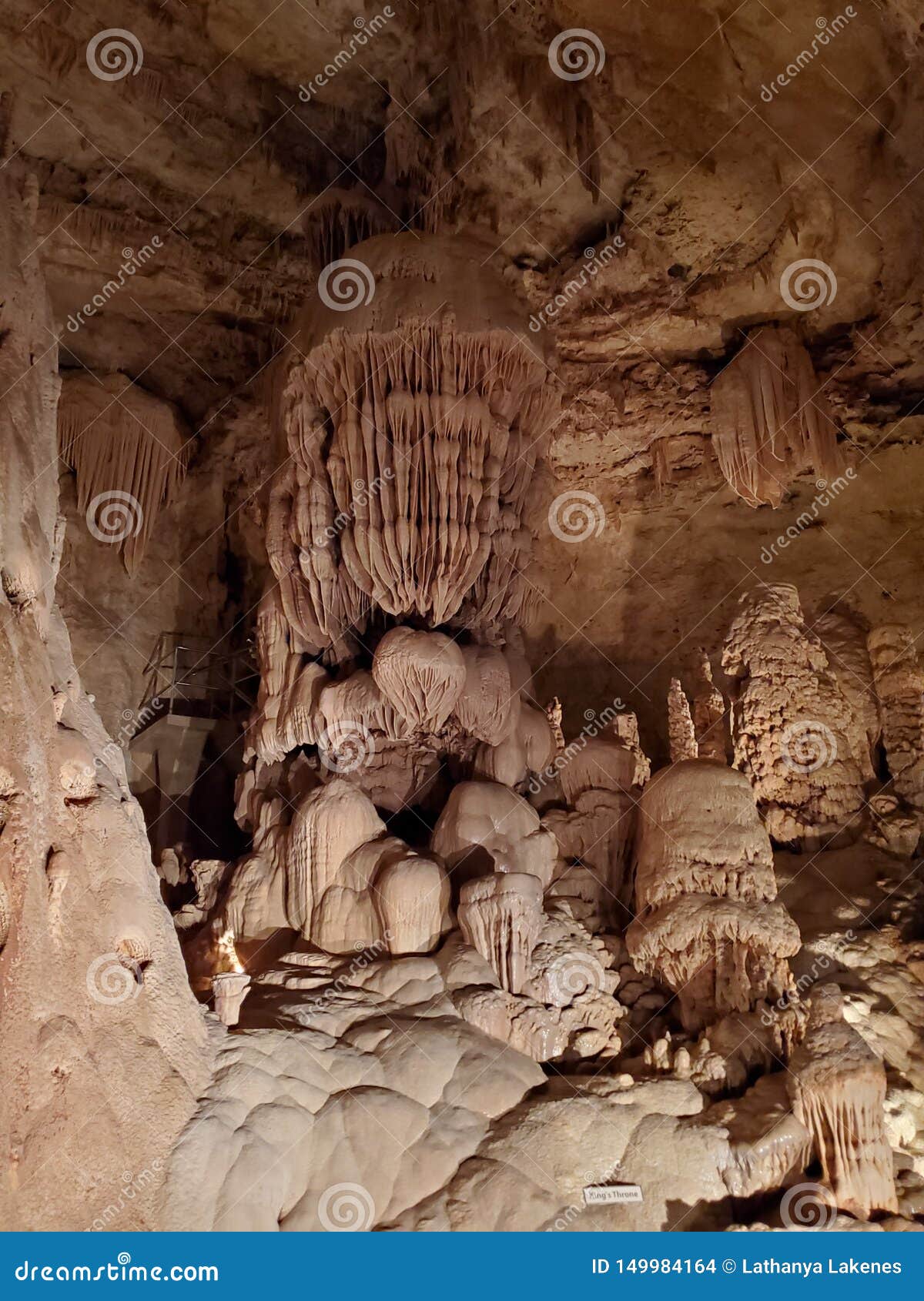 Giant Underground Jellyfish Structure Stock Photo - Image of jellyfish ...