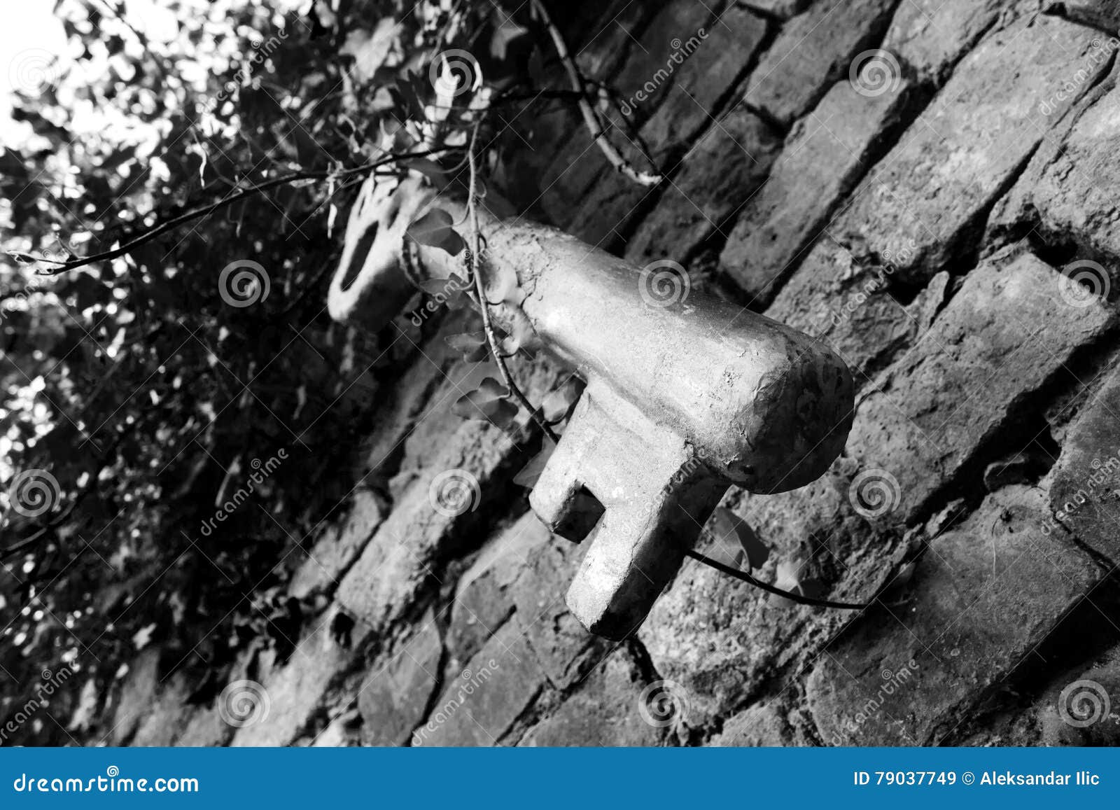 Giant Vintage Key stock image. Image of home, business - 79037749