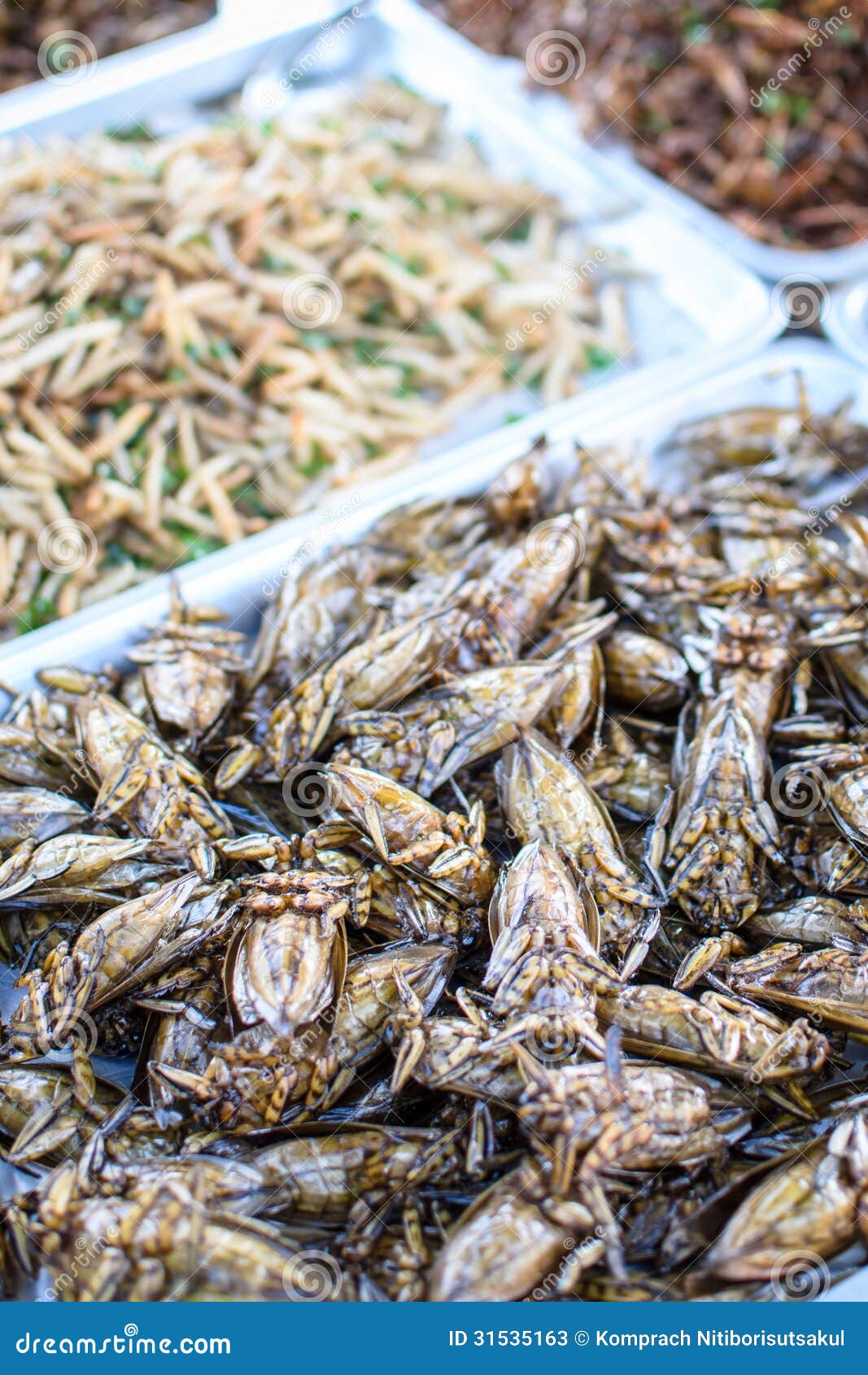 Giant water bug. stock image. Image of cooking, fried - 31535163