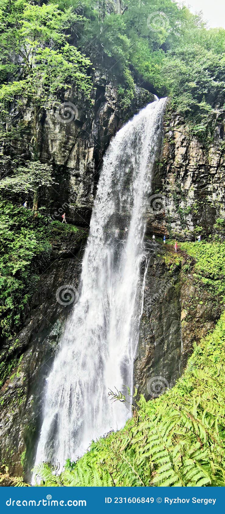 Giant Waterfall In The Middle Of A Forest With Green Vegetation. Frecha ...