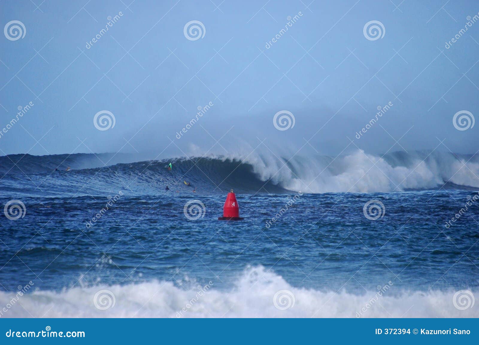 Giant Waves stock photo. Image of paddle, wave, tropic - 372394