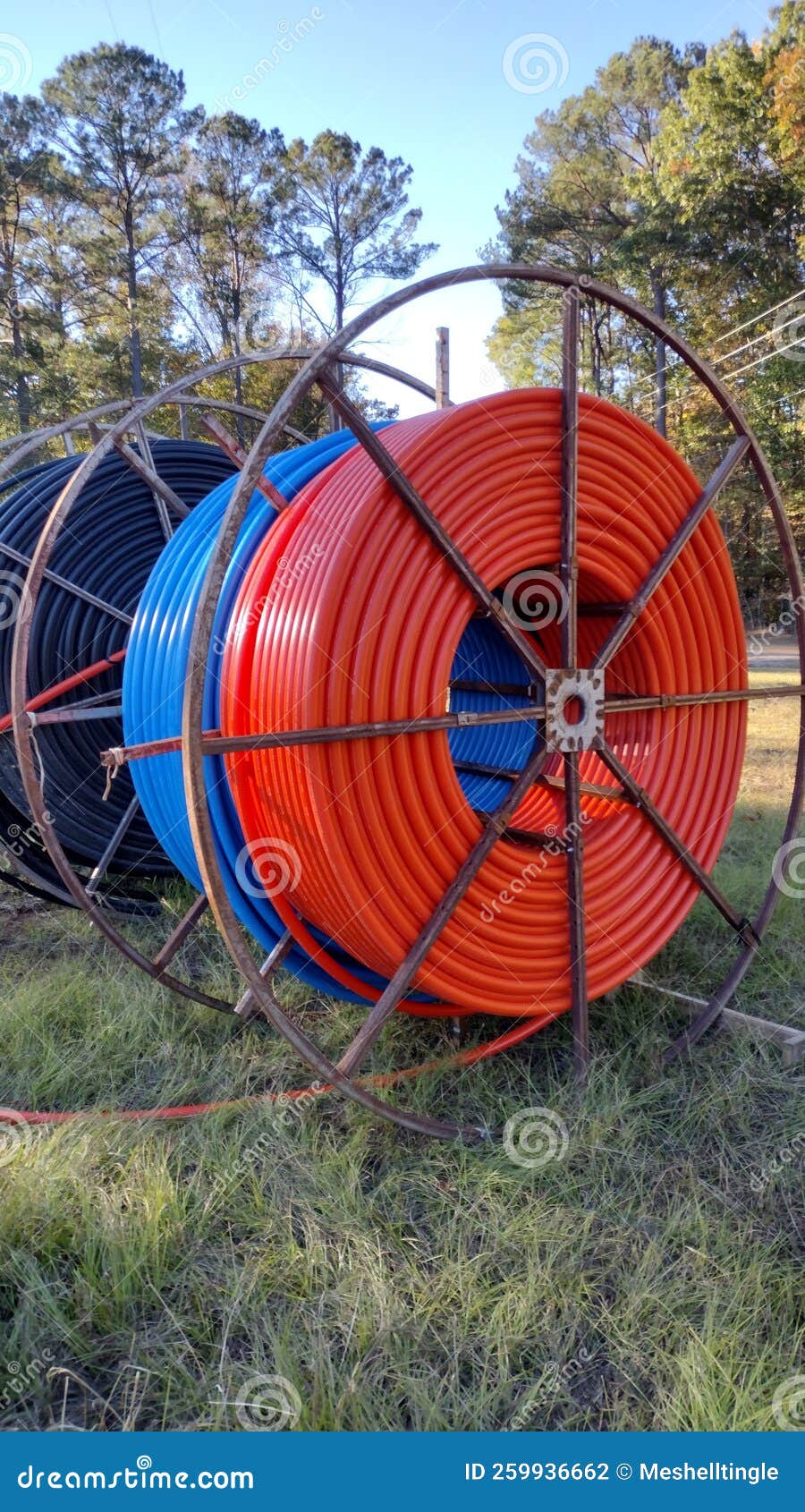 Giant Wire Wheels Orange Blue Stock Photo - Image of giant, plant ...