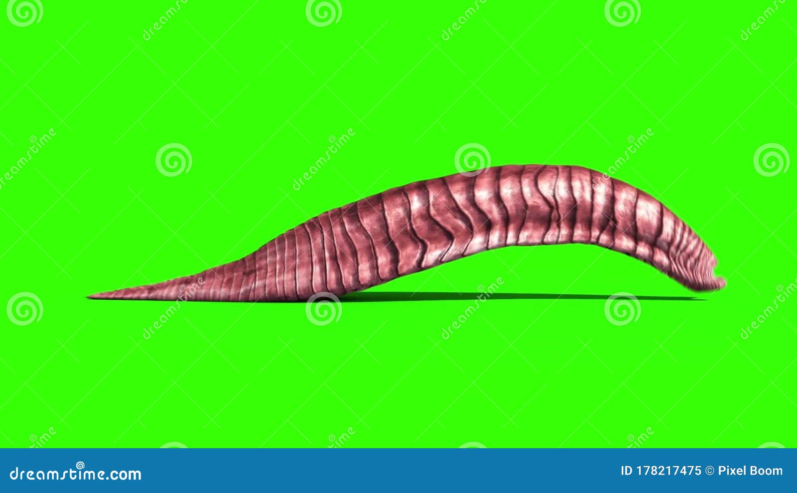 Giant Worm Monster Crawl Loop Side Green Screen 3D Rendering Animation ...