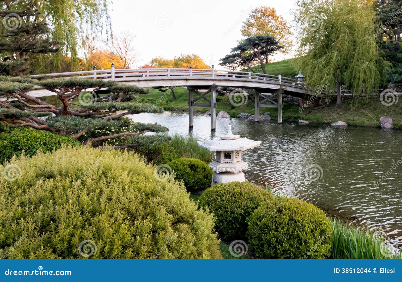 Giardino Botanico Di Chicago Fotografia Stock - Immagine di giardino ...