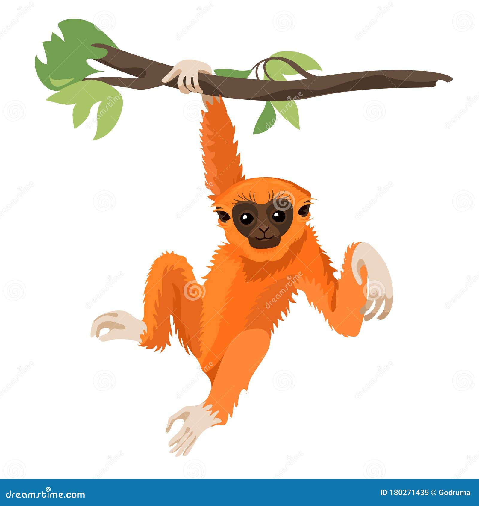 Gibbon Primate Mammal. Monkey in Wildlife Stock Vector - Illustration ...