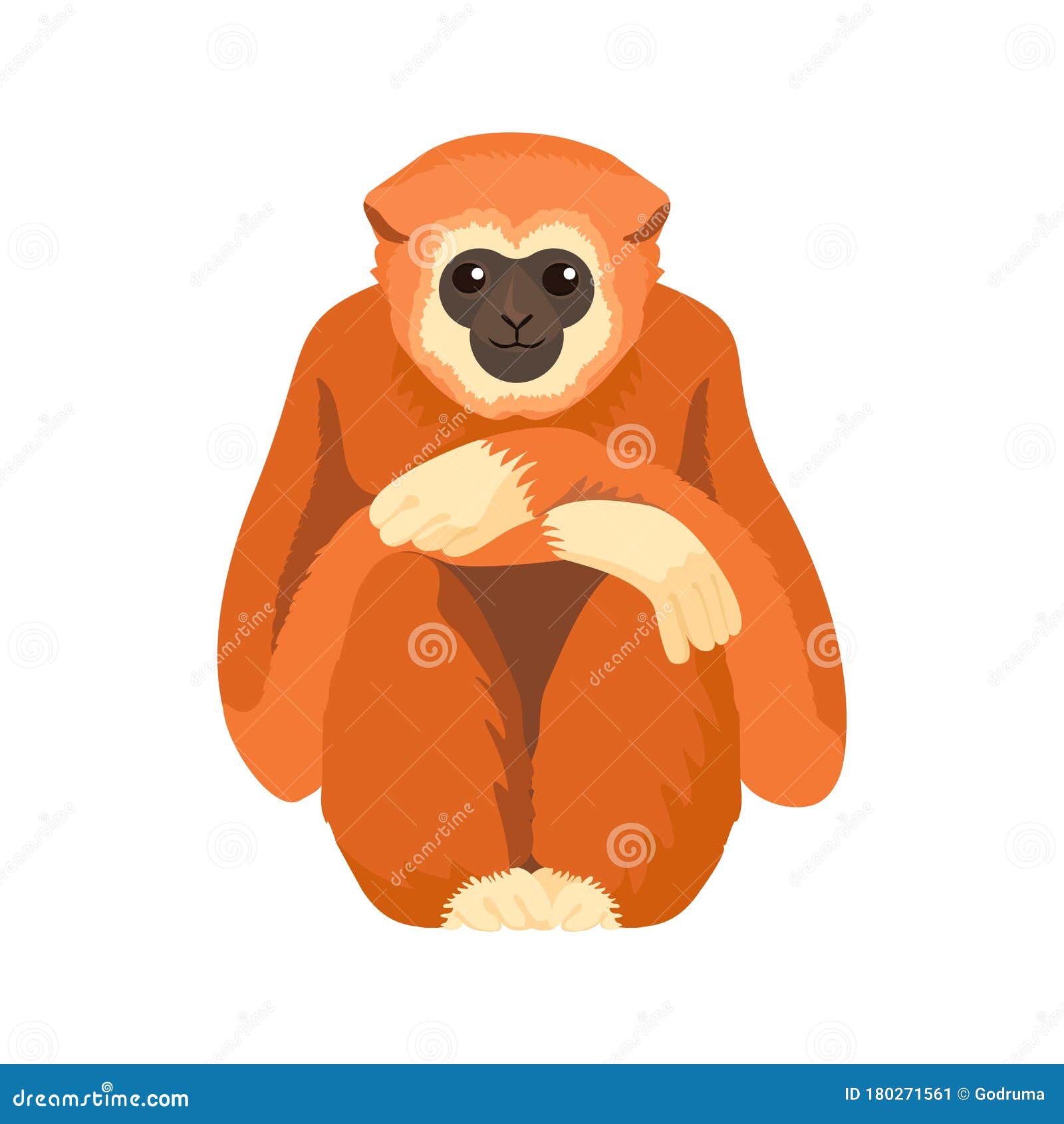 Gibbon Primate Mammal. Monkey in Wildlife Stock Vector - Illustration ...