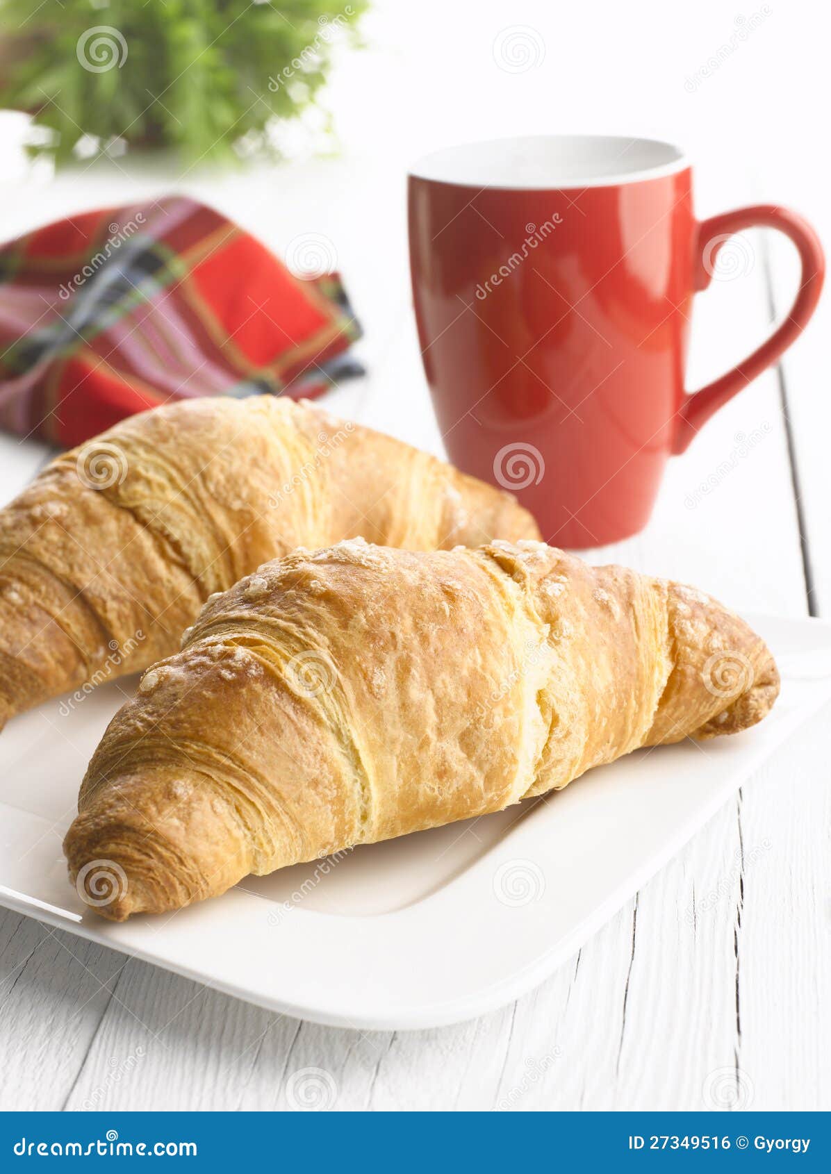 Giffel arkivfoto. Bild av växt, uttryckt, dricka, bakelse - 27349516