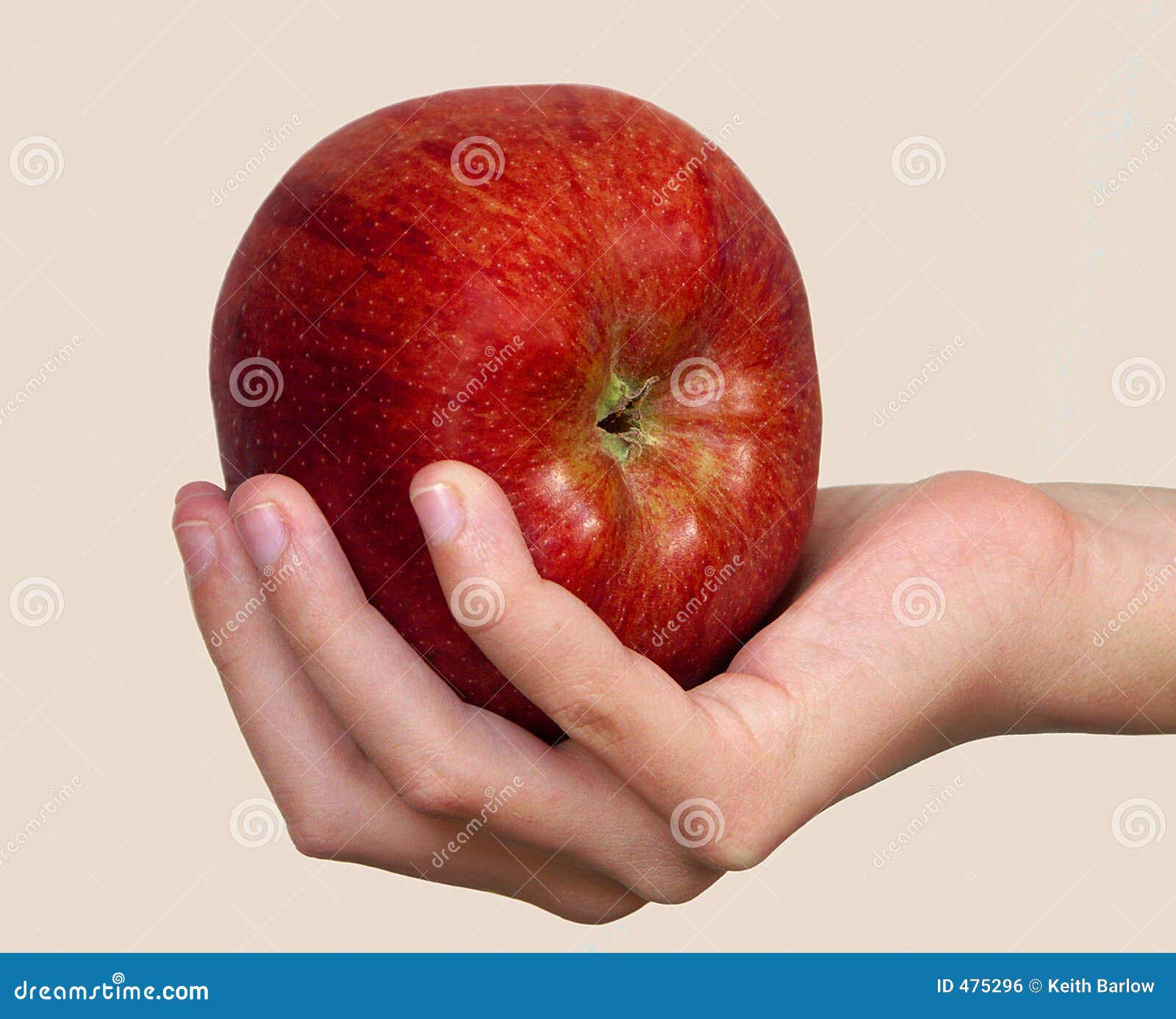 The gift stock photo. Image of give, scholar, school, apple - 475296