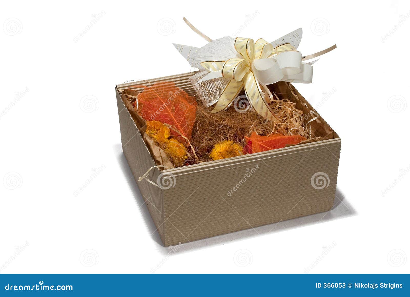 Gift box autumn style stock image. Image of ornament, decor - 366053