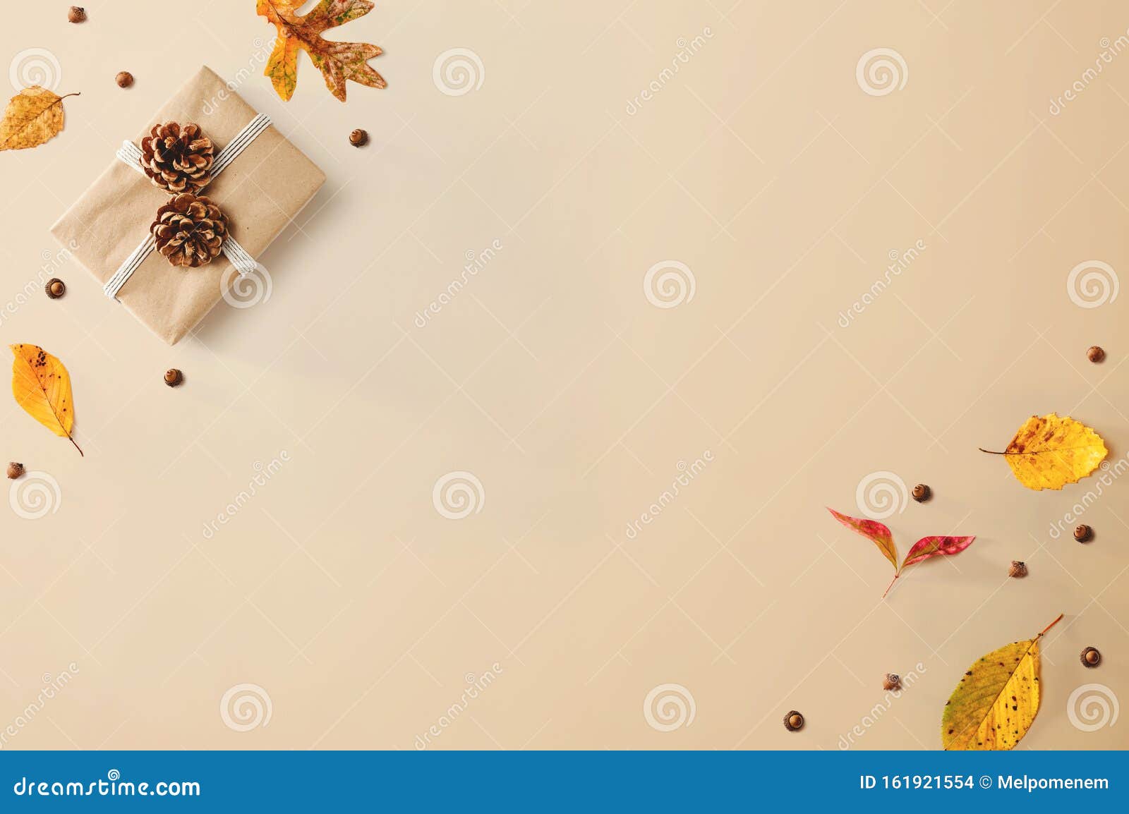 Gift box with autumn theme stock photo. Image of flatlay - 161921554