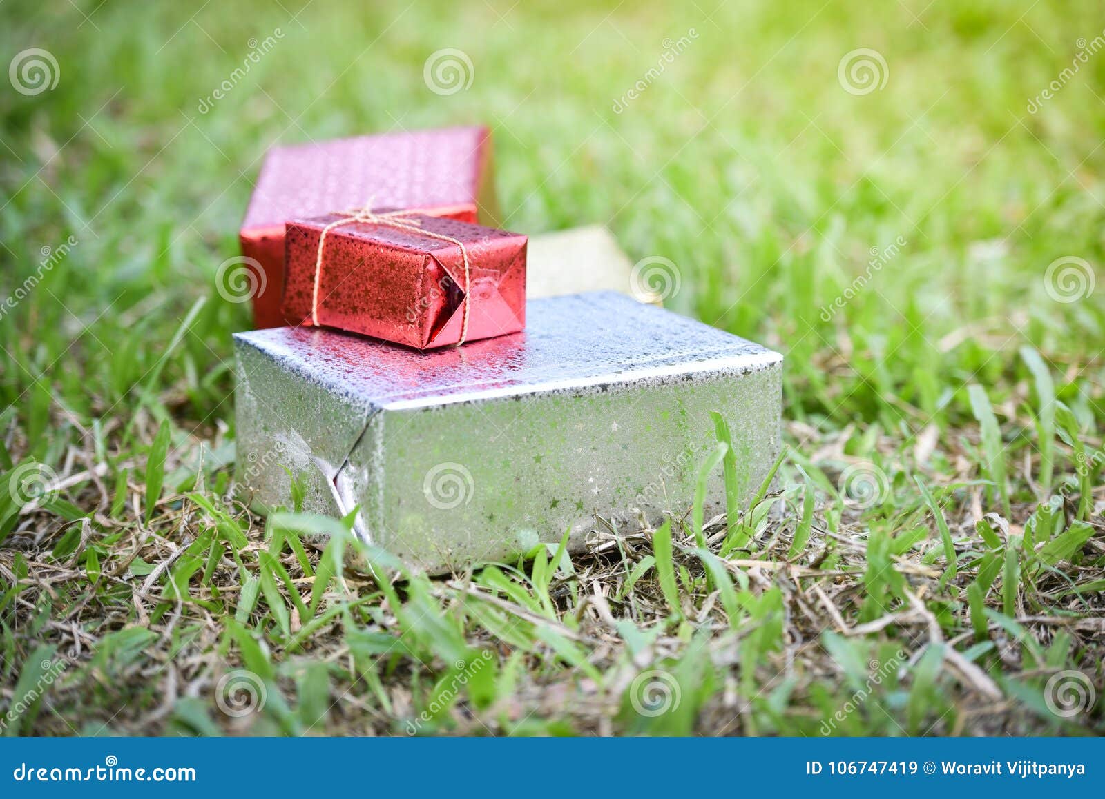 Gift Box floor grass stock image. Image of romantic - 106747419