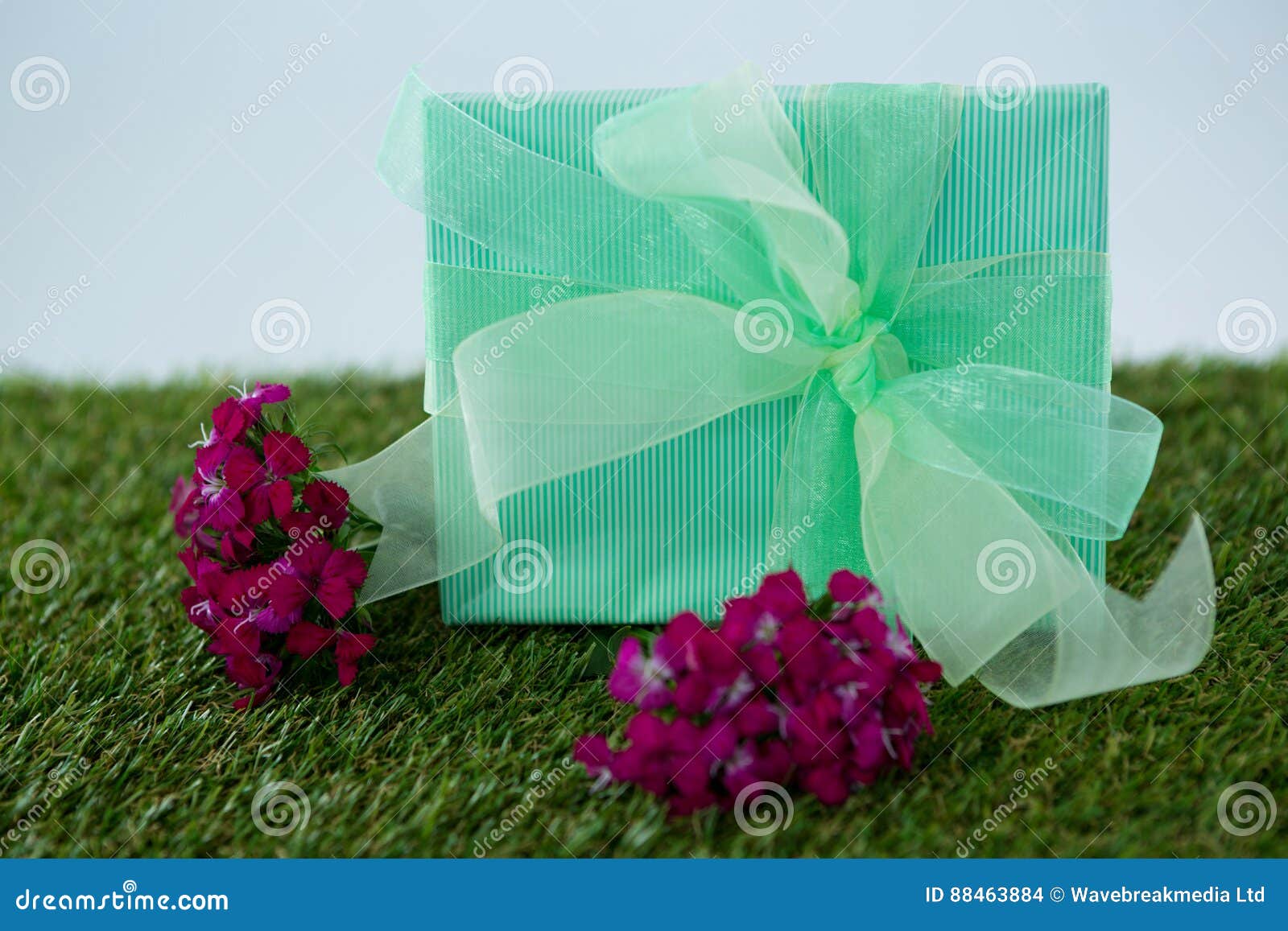 Gift Box with Flowers on Grass Stock Photo - Image of surprise ...