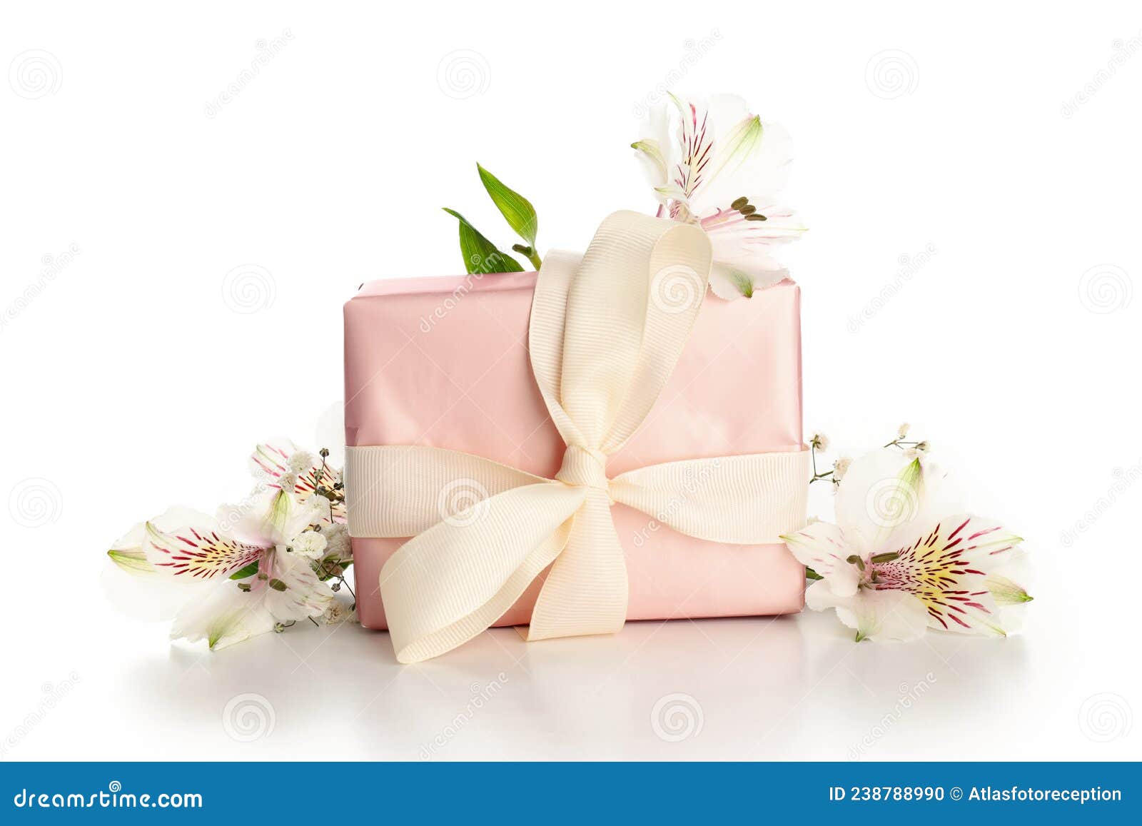 Gift Box and Flowers Isolated on White Background Stock Photo - Image ...