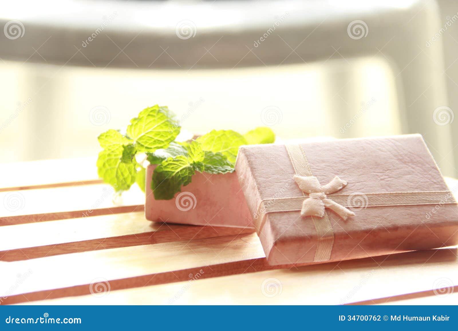Gift box with fresh mint stock photo. Image of food, medicine - 34700762