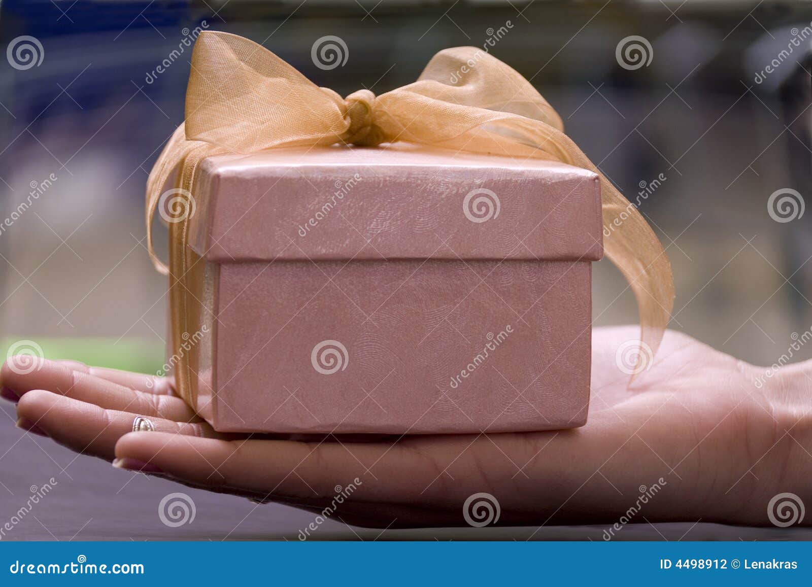 A Gift Box on the Girl S Hand Stock Photo - Image of hands, joyful: 4498912