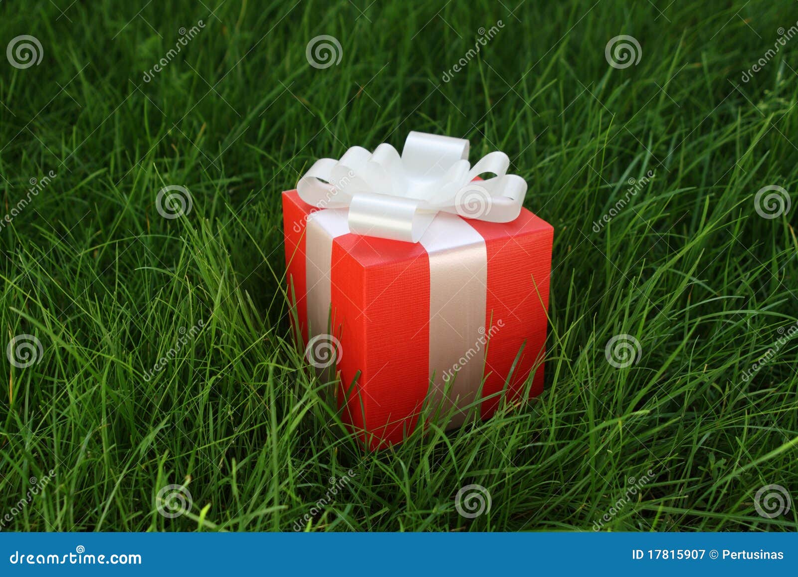 Gift box on a grass stock image. Image of perks, white - 17815907
